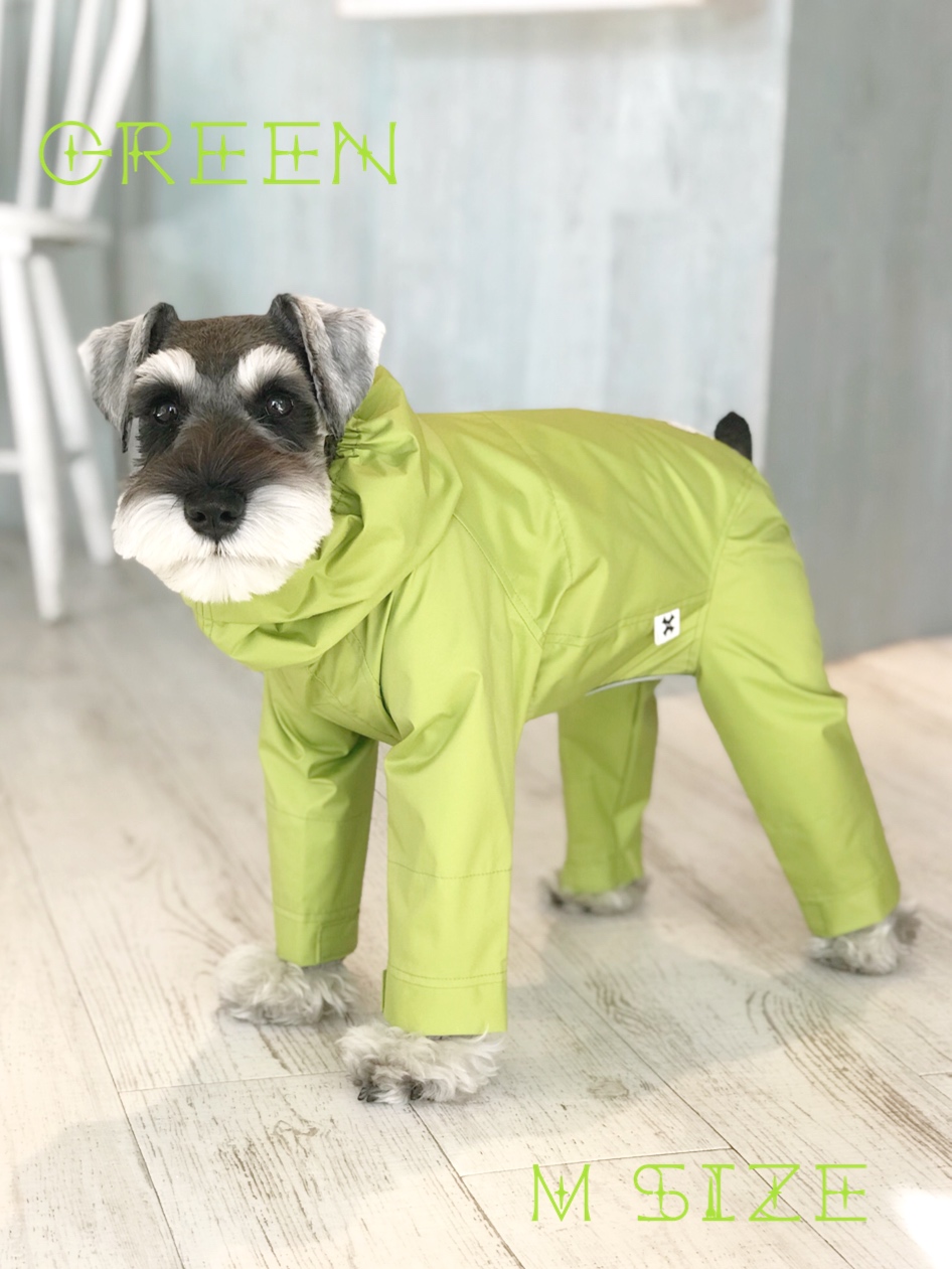 new raincoat♪ – blog-design f