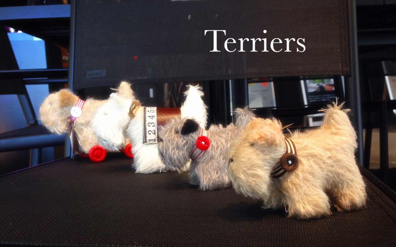 ★Terriers Of Mansfield★ | blog-design f